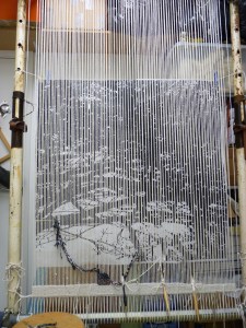 Theo Moorman Research Grant – Philip Sanderson